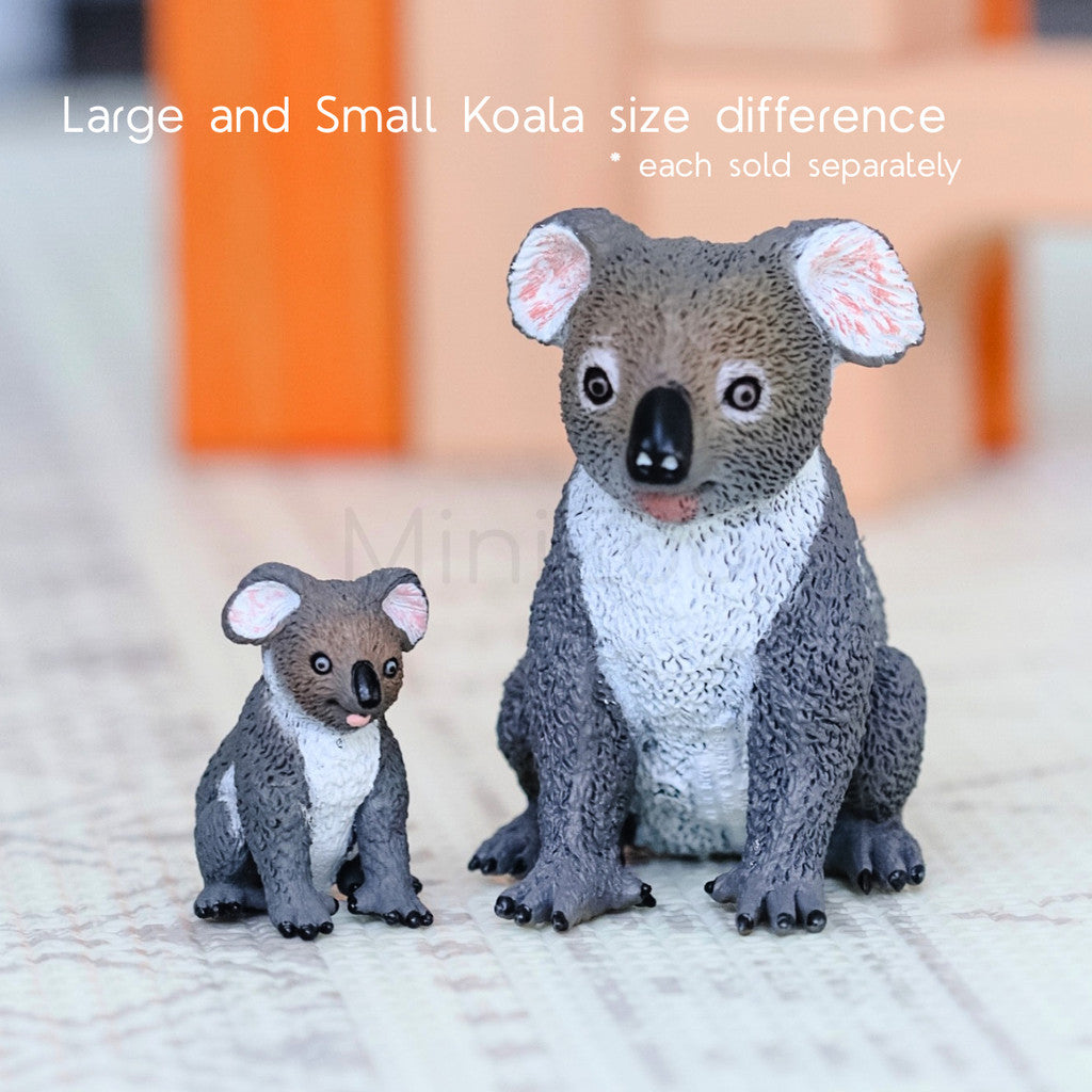 Science and Nature | Koala Small | Grasshopper
