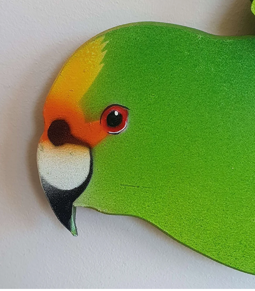 Flap! Toys | Kākāriki/ Yellow Crowned Parakeet | Grasshopper